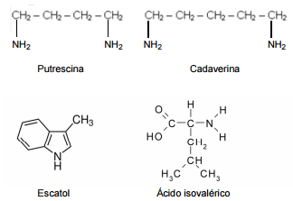 Questões de Química - Funções Orgânicas - Professor - Química - 2016