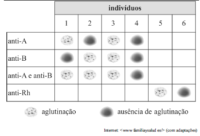 Questões de Biologia - Alelos múltiplos: grupos sanguíneos dos sistemas ABO, Rh e MN - 2018