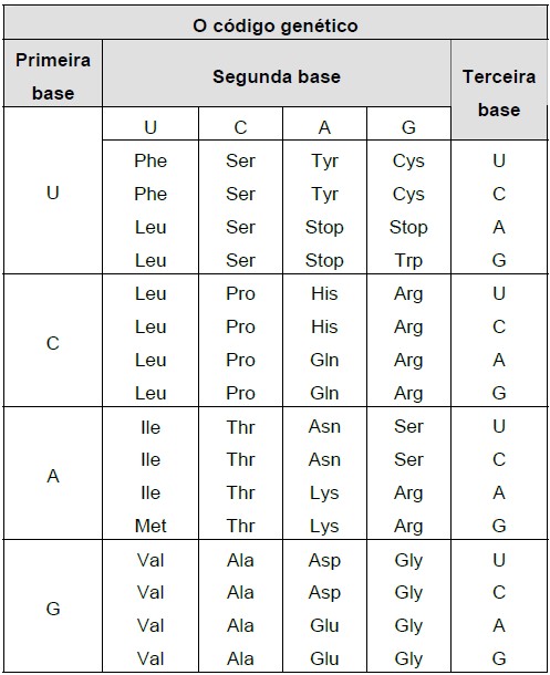 Questões de Biologia - Código genético e DNA - Instituto Federal de ...